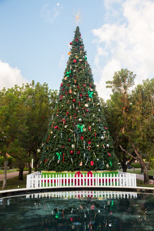 Large Decorated External Christmas Tree Stock Image - Image of outside ...