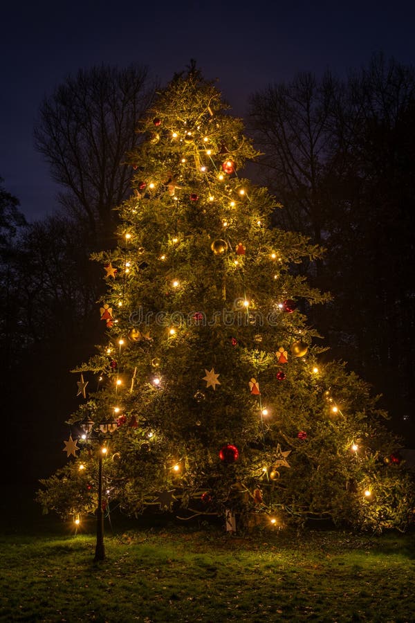 Large Decorated and Lit Christmas Tree at Night Time Stock Photo ...