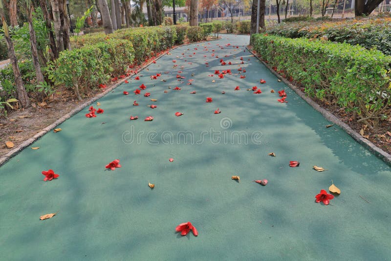 A Large Dedicated Cycling Path at Tuen Mun Stock Image - Image of ...