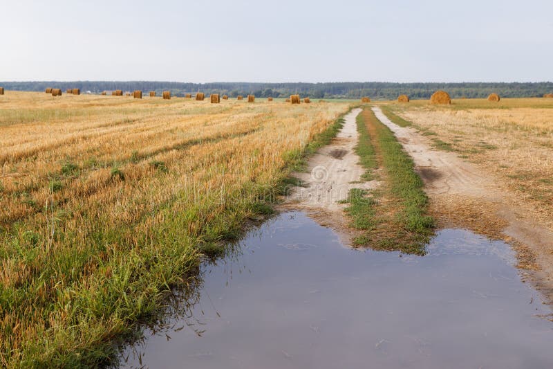Large Deep Puddle on the Road in the Field Stock Image - Image of ...