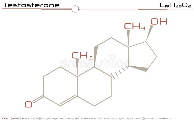 Testosterone molecule 2 stock vector. Illustration of testosterone ...