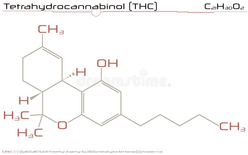 Molecule of THC stock vector. Illustration of drug, nature - 104400333