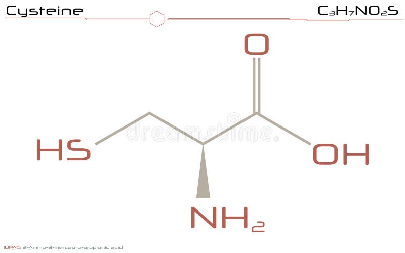 Cysteine molecule stock illustration. Illustration of atom - 27173894