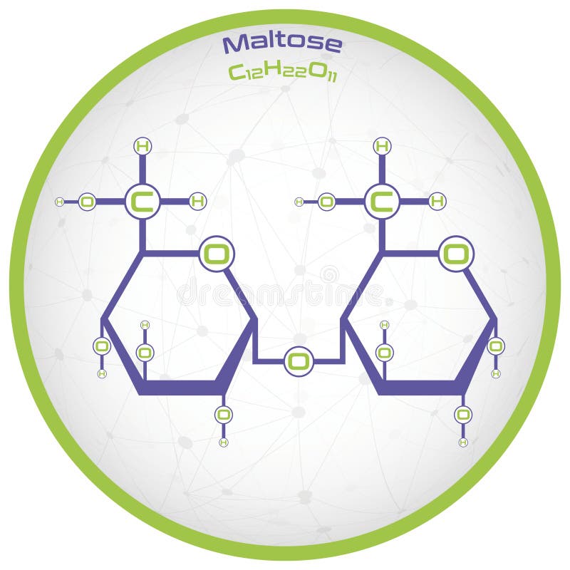 Infographic of the Molecule of Maltose Stock Vector - Illustration of ...