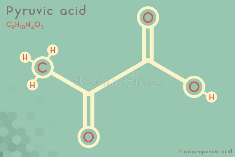 Infographic of the Molecule of Pyruvic Acid Stock Vector - Illustration ...