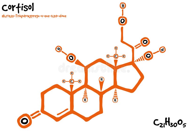 Drawn Molecule and Formula of Cortisol Stock Vector - Illustration of ...