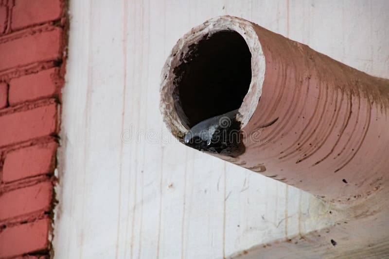 Large Drain Pipe on the Building with Ice Stock Image - Image of ...