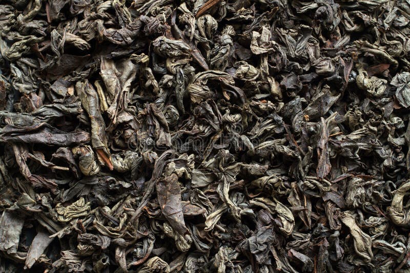 Large Dried Black Tea Leaves. Stock Image - Image of natural, detailed ...