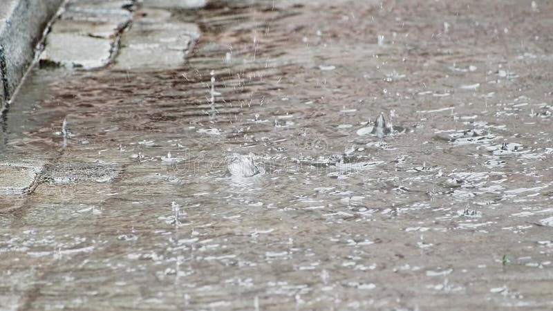 Large Drops of Rain Fall into a Puddle of Water. Heavy Rain, Downpour ...