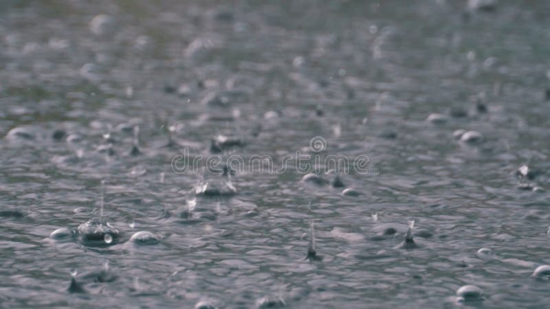 Large Drops of Rain Fall in a Puddle during a Rainstorm. Water Drops ...