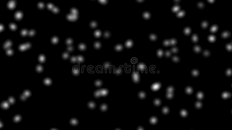 Floating blurred particles stock footage. Video of abstract - 284164600