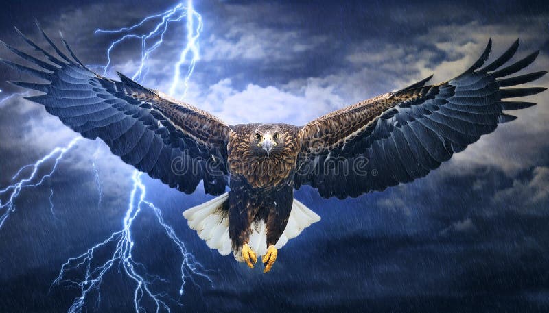 A Large Eagle is Flying through a Stormy Sky with Lightning Bolts Stock Illustration ...