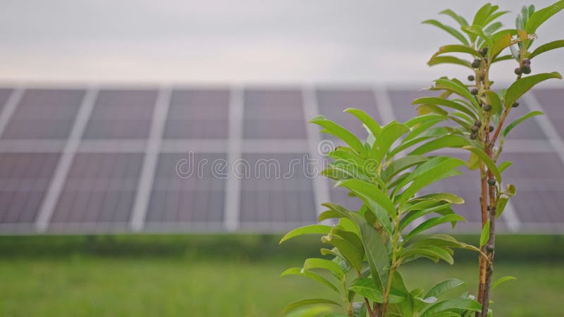 Large Electric Photovoltaic Solar Panel Array Stock Image - Image of ...