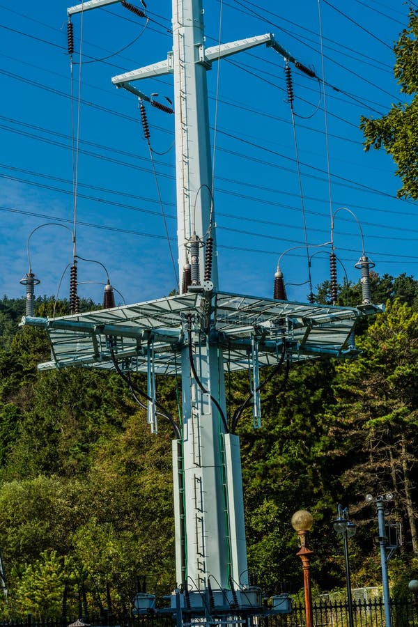 Large Electrical Tower in Densely Wooded Area Stock Image - Image of ...