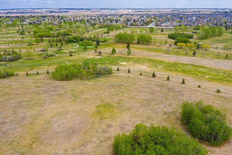 Large, Empty Field with a Few Trees Scattered Throughout Stock Photo ...