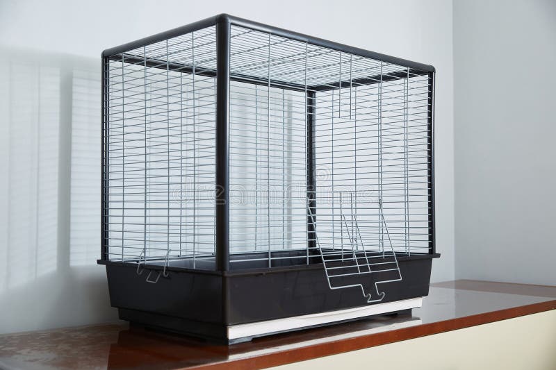 A Large Empty Room Cage for a Parrot. Stock Image - Image of outdoors ...