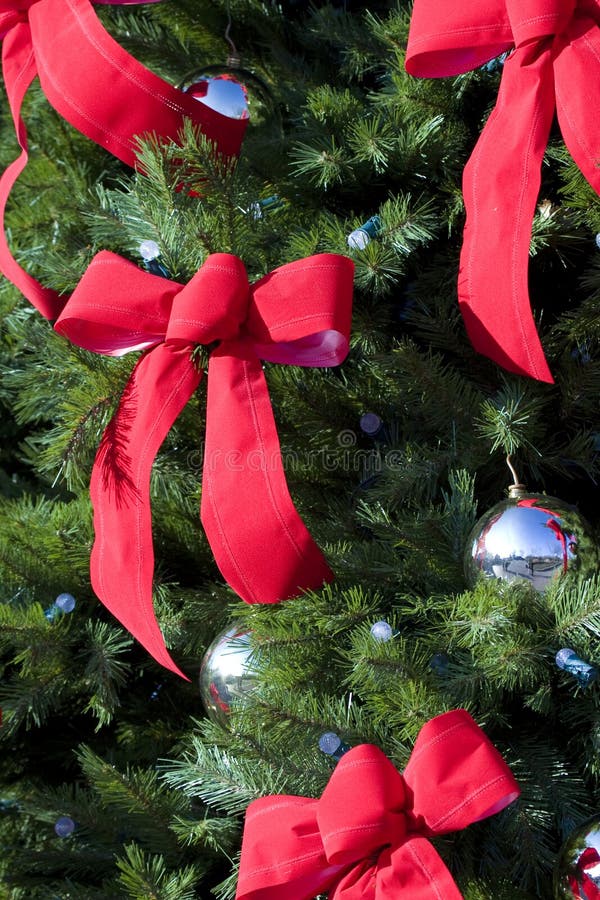 Large Evergreen with Red Bows Stock Photo - Image of ribbon, decorate ...