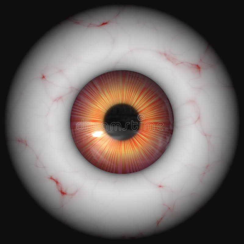 Large eyeball stock illustration. Illustration of eyesight - 3652518