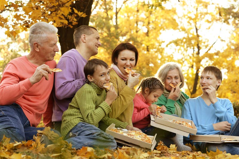 Large family picnic stock photo. Image of adult, happy - 46046046