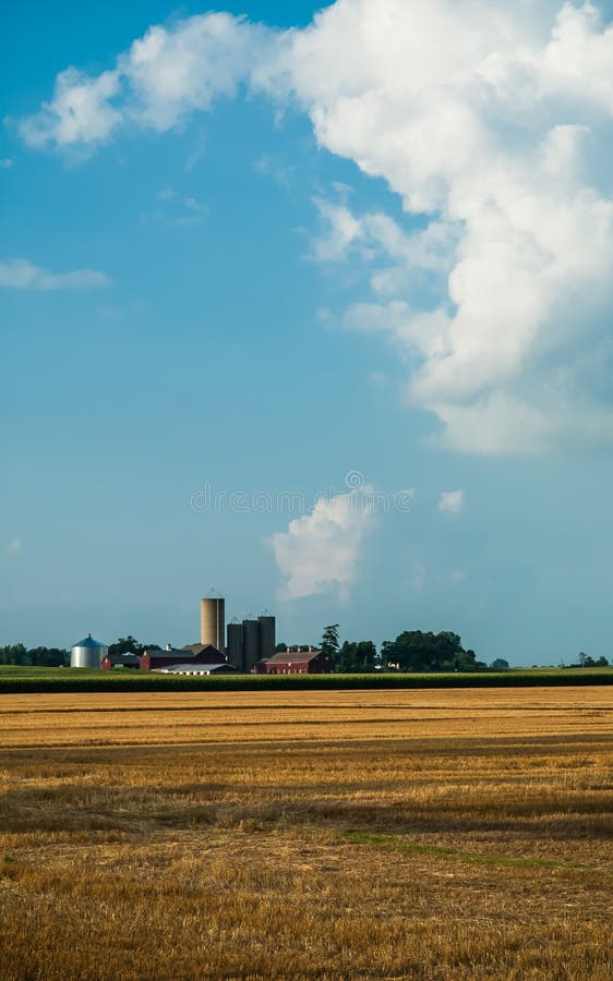 Large Farm stock image. Image of trees, brown, sunny - 42662157
