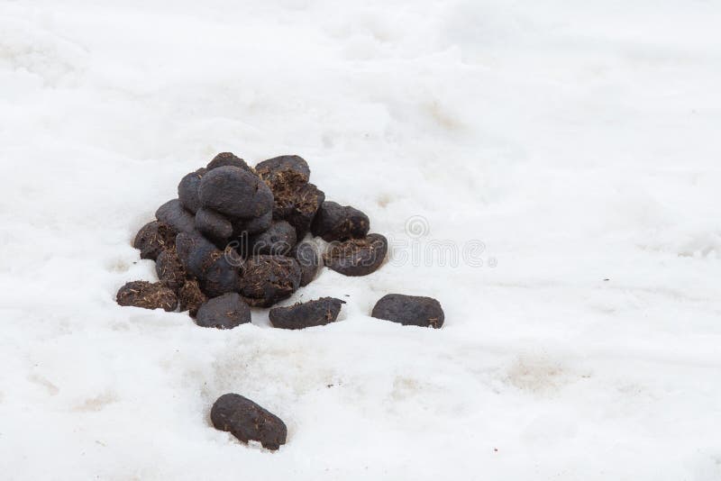 518 Human Feces Stock Photos - Free & Royalty-Free Stock Photos from ...