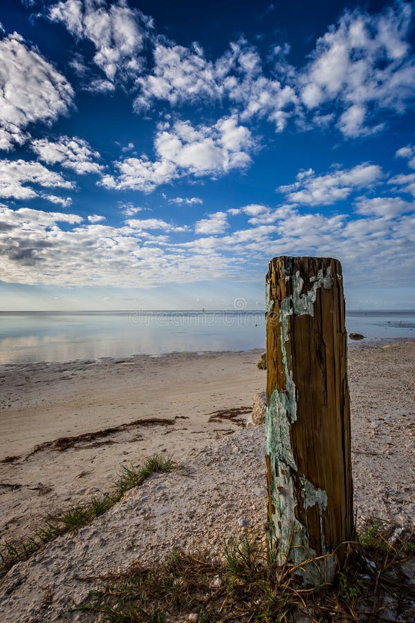 Large Fence Post on a Beach Off Key West Stock Photo - Image of amazing ...