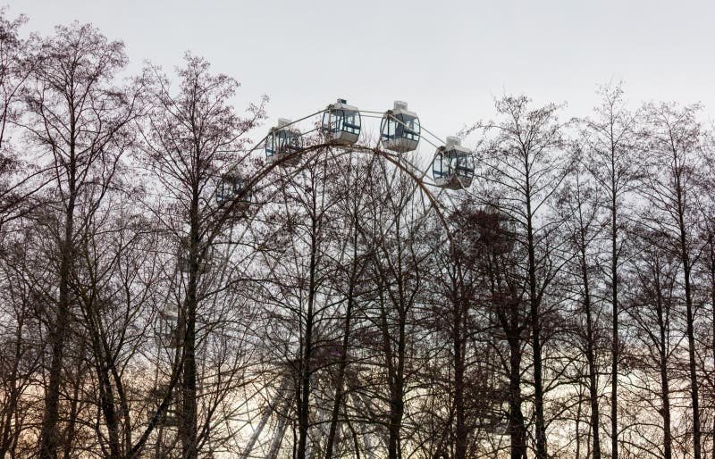 A Large Ferris Wheel is Surrounded by Trees in the Background Stock ...