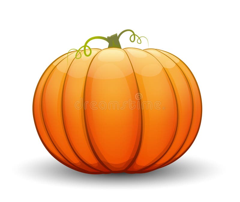 A Large Festive Pumpkin. Vector Illustration Stock Vector ...