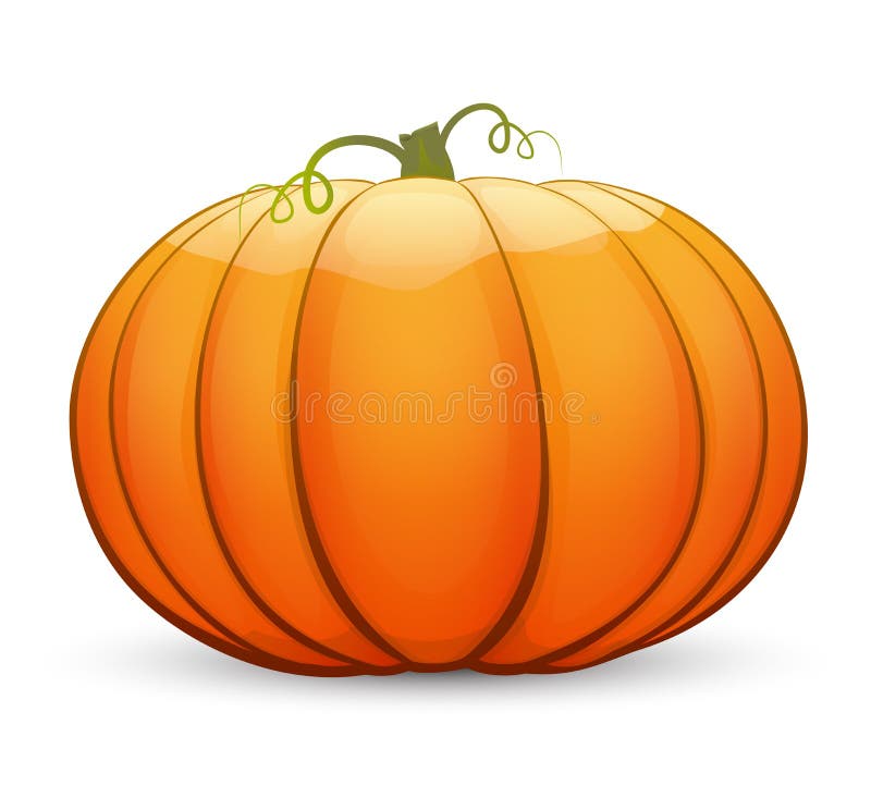 A large festive pumpkin. stock vector. Illustration of isolated - 98164592