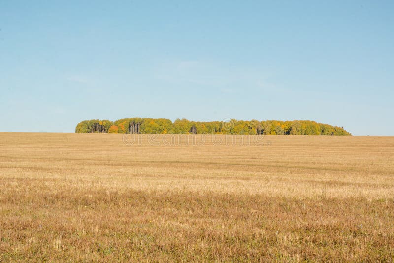 Large Field in Autumn. Autumn Nature. Golden Autumn Stock Photo - Image ...