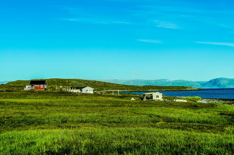 A Large Field with Tall Dry Grass and a Narrow Strip of Autumn Forest ...