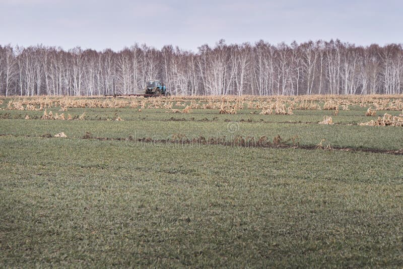 Large field. Grey sky stock image. Image of gray, forest - 110057673
