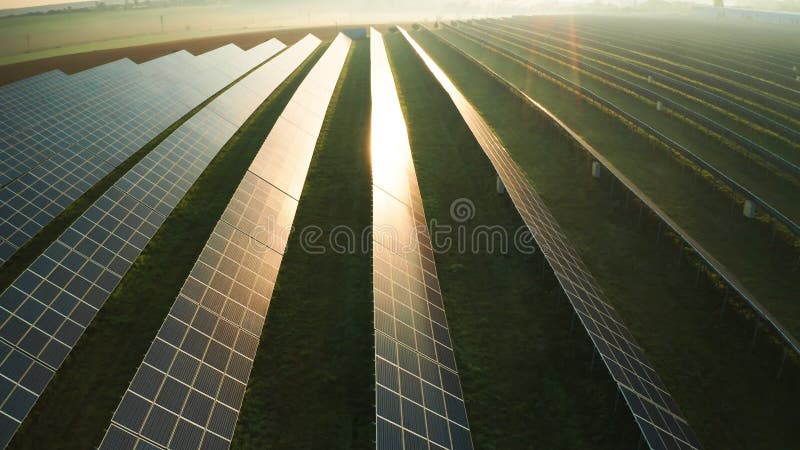 Large Field with Rows of Solar Panels Capturing Sunlight Stock Video ...