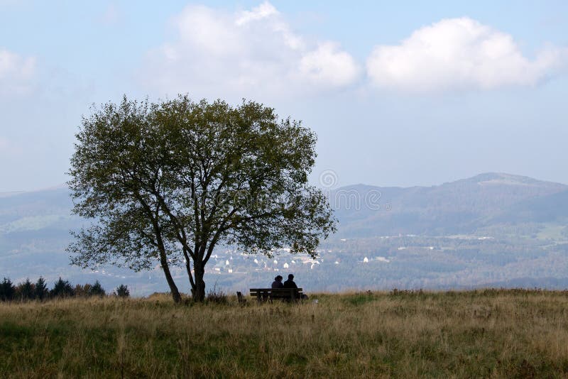 Large Field with a Single Tree and Mountains in the Background Stock ...