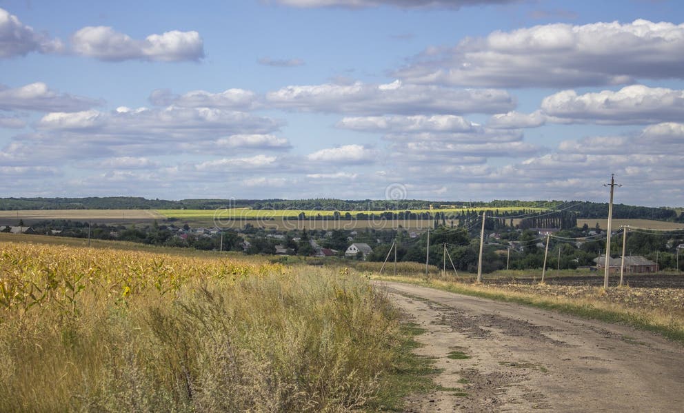 Large field stock photo. Image of field, horizon, radiance - 46437768
