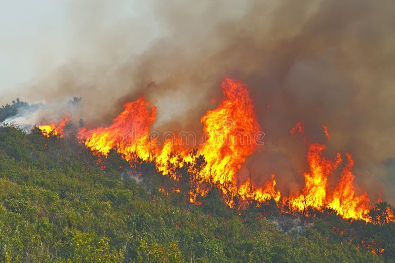Large Fire Burning Mountains Smoke Flames Visible Stock Photos - Free ...