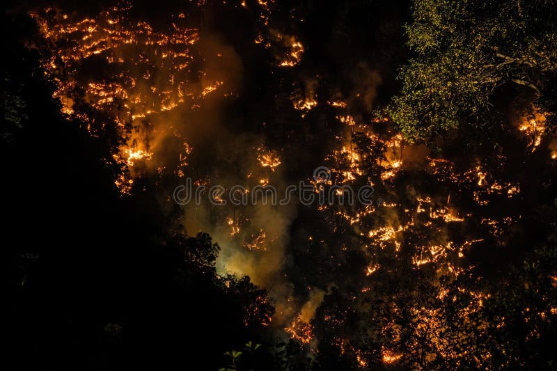 A Large Fire Burning in the Nighttime Sky with Stars and Darkness Below ...