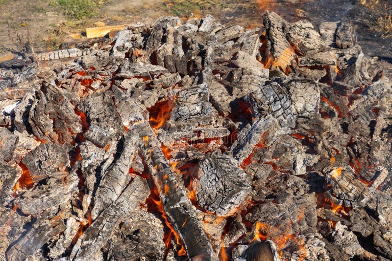 A Large Fire Burning in the Open. Stock Photo - Image of light ...