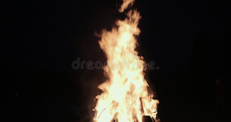 A Large Fire Burns among the Lawn. Campfire. Vertical Panorama Stock ...