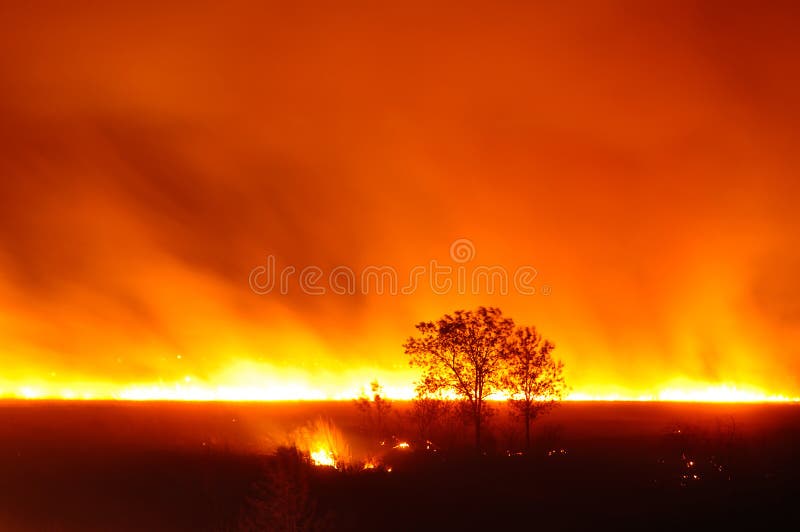 A large fire in a field stock photo. Image of fire, element - 44481174