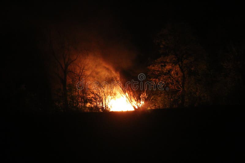 Large Fire is Burning in the Forest at Night Stock Image - Image of ...
