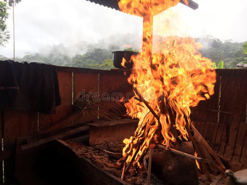 A Large Fire Made in a Wooden House in the Rainforest Stock Photo ...