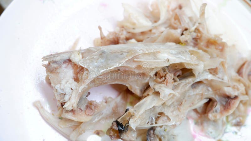 Large Fishbone in the Plate Stock Image - Image of meat, protein: 149066219