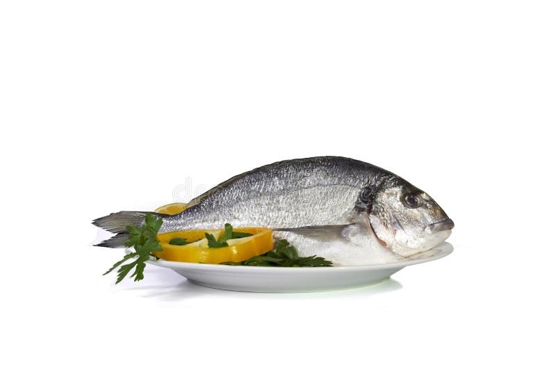 Large Fish Sea Bream Orata Gutted Stock Photos - Free & Royalty-Free ...
