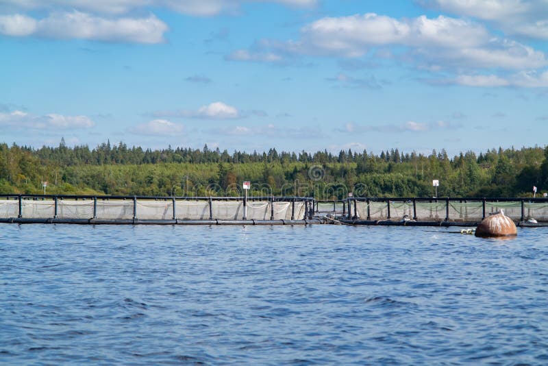 Large Fish Tanks on the River, Salmon Fish Farm Stock Image - Image of ...