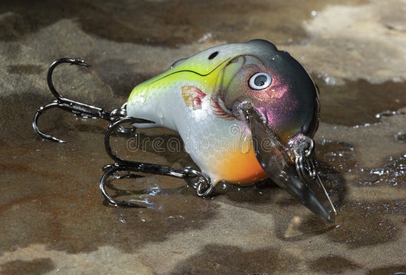 Large Fishing Lure that is Wet Stock Image - Image of fake, hook: 269652977