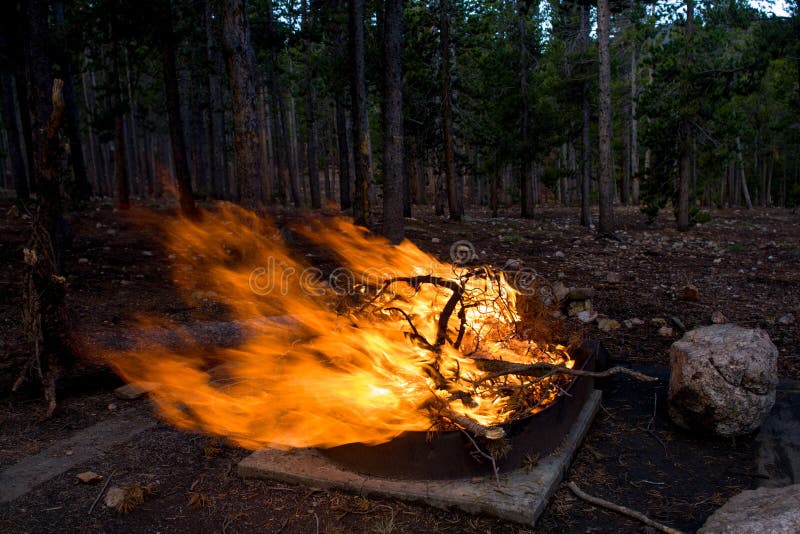 Large Flaming Campfire in a Forest Stock Image - Image of fuel, rock ...