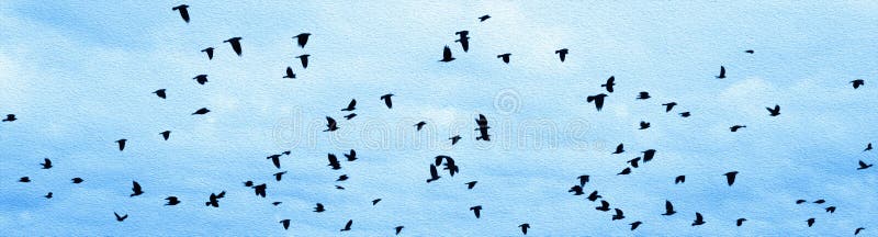A Large Flock of Black Birds Flies on a Blue Background. Stock Photo ...