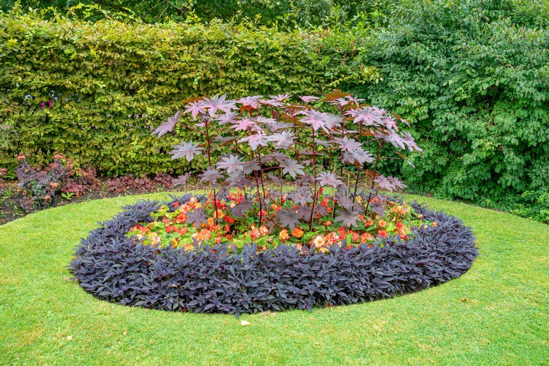 Large Floral Arrangements Inside Hyde Park Garden London. Stock Image ... Large Floral Arrangements Inside Hyde Park Garden London. Stock Image ...