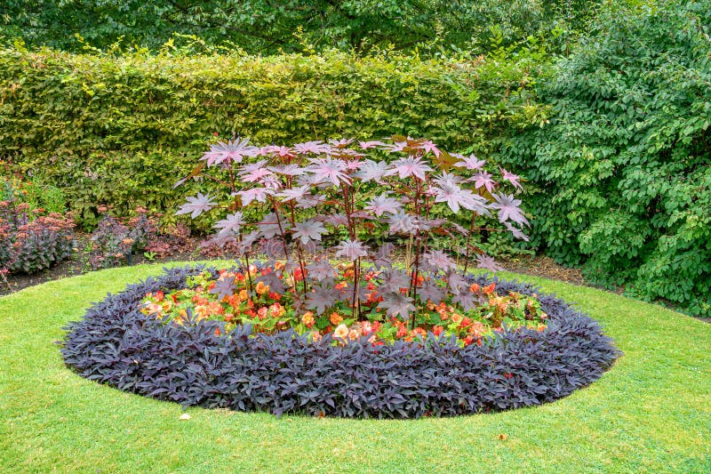 Large Floral Arrangements Inside Hyde Park Garden London Stock Image ... Large Floral Arrangements Inside Hyde Park Garden London Stock Image ...